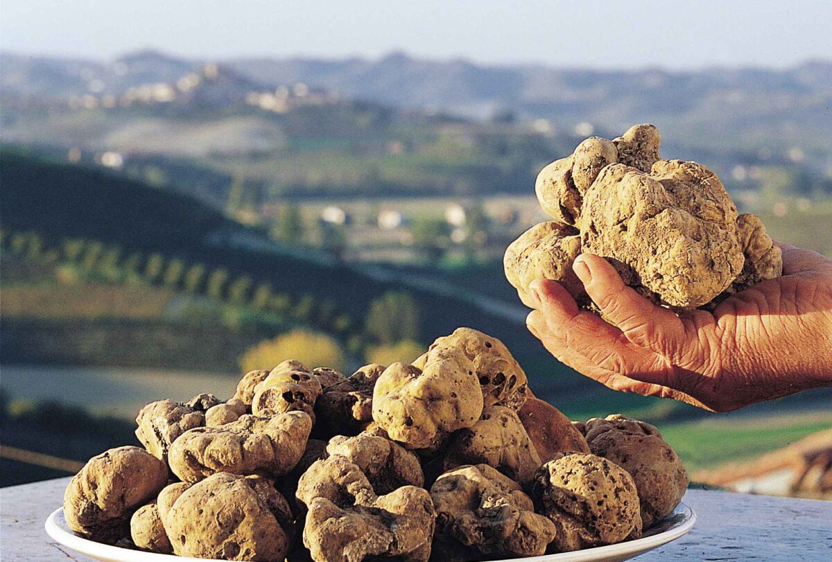 Indulge in Piedmont's Luxury Truffle Treasures